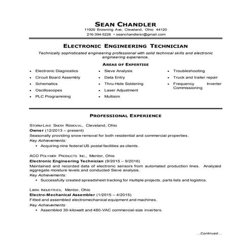 Professional_Resume | DOCX | IT and Internet Support | Internet