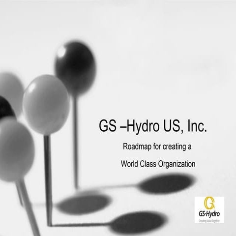 GS Hydro US Business Plan 2016 First Draft | PPT