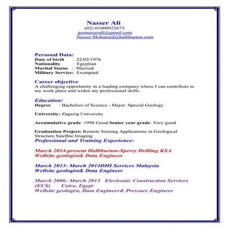 CV_Hassan Mahmoud Hassan,N | PDF