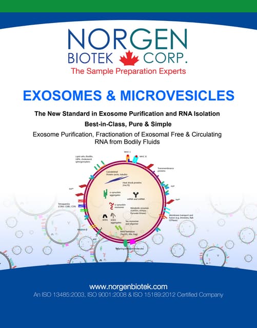 Exosomes pathway-creative diagnostics | PPT