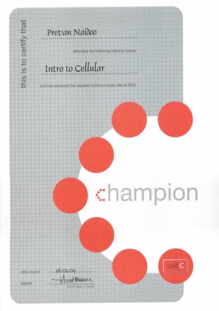 Digital Marketing Diploma | PDF