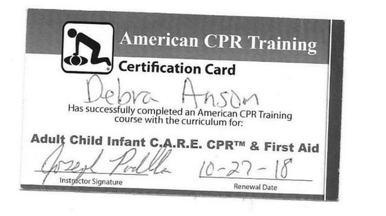 REN Certification | PDF