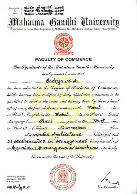 MBA MARKSHEET | PDF