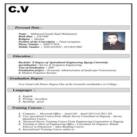 English CV | PDF