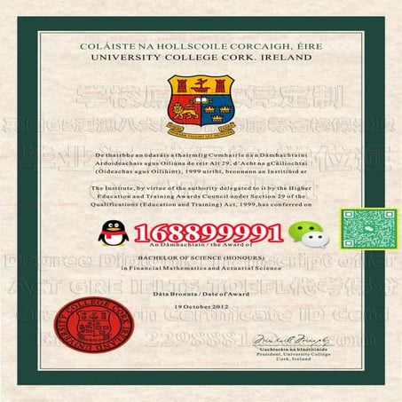 University College Cork Diploma Degree Transcript | PDF