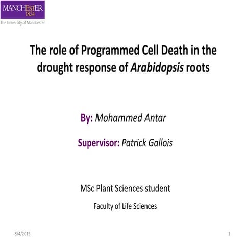 The role of Programmed Cell Death in the drought response of ...