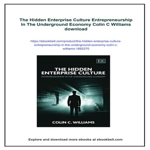 The Hidden Enterprise Culture Entrepreneurship In The Underground ...