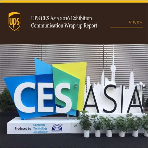 CES Report | PDF