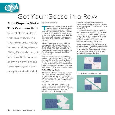 QM1604-GEESE | PDF