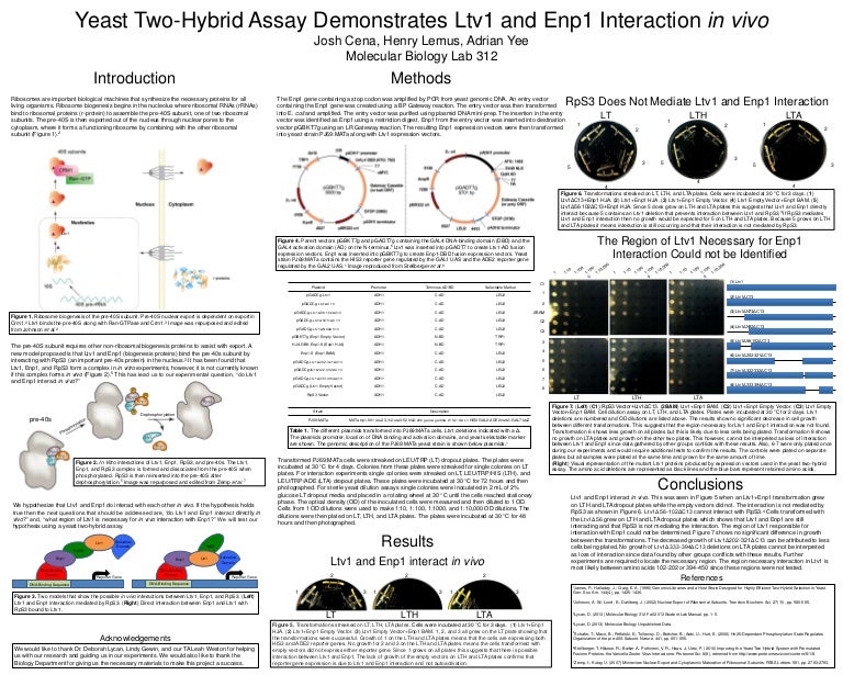 Molecular Bio Poster 12_9 SuperFinal