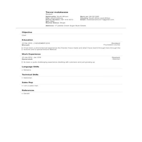 CurriculumVitae (1) | PDF