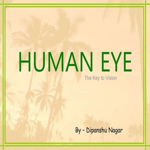 94955904-HUMAN-EYE-PRESENTATION.pptx human eye | PPT