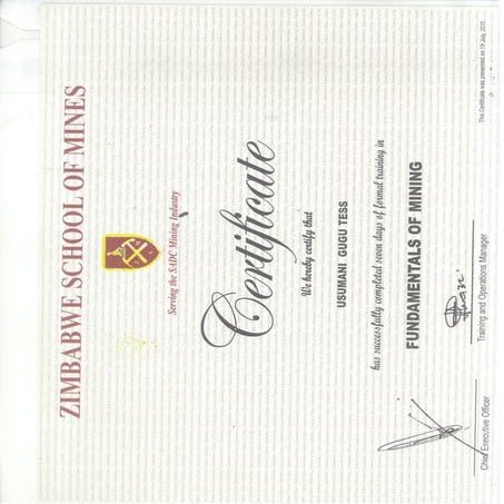 Certificate in Fundamentals of Mining | PDF