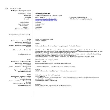 CV Andrea Selvaggio_2016 | PDF