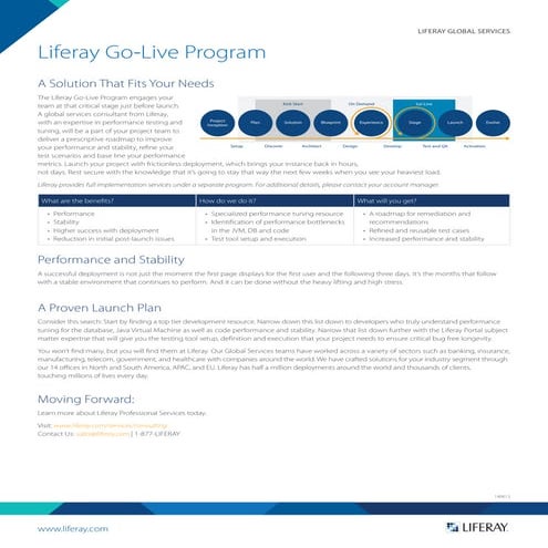 Liferay Go-Live Program | PDF