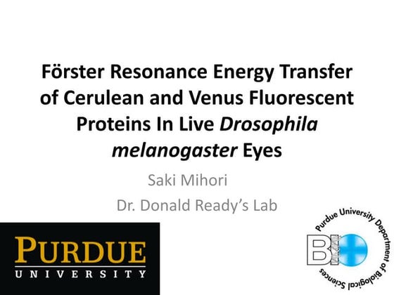 Fluorescence(Forster) Resonance Energy Transfer | PPTX | Chemistry ...