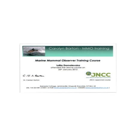 mmo_domalevska | PDF