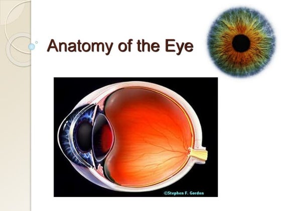 ppt on Eye anatomy | PPT