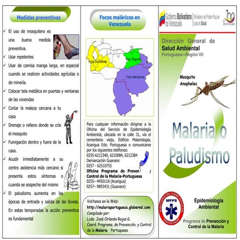 95297119 triptico-de-malaria-nov10 | PDF | Infectious Diseases | Diseases and Conditions