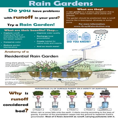 Rain Gardens | PDF