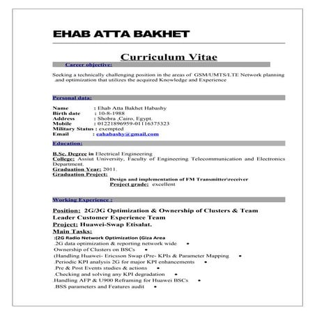 Ehab Atta Optimizer | PDF