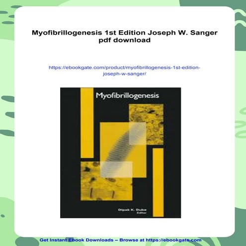 Myofibrillogenesis 1st Edition Joseph W. Sanger | PDF
