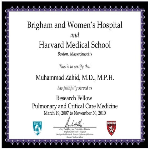Research Fellow Diploma | PDF