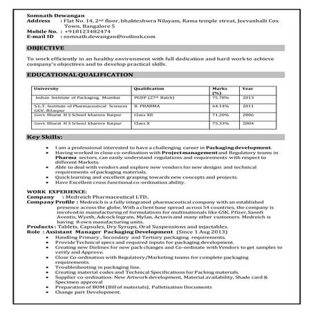 Resume Somnath | DOCX