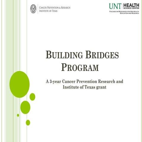 Building Bridges Program Overview 030116 | PDF