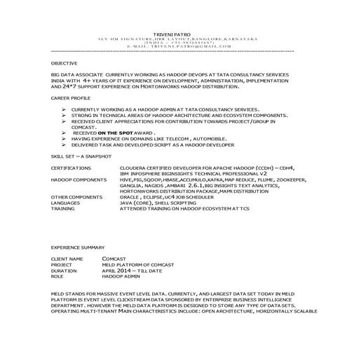 Resume_Triveni_Bigdata_Hadoop Professional | DOCX