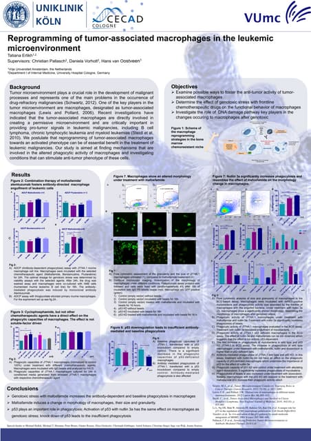 Poster - Development of double stand break assessment assay with HCS by ...