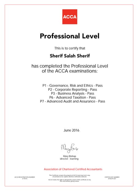 Professional level | PDF