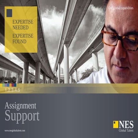 1 Assignment support | PPT