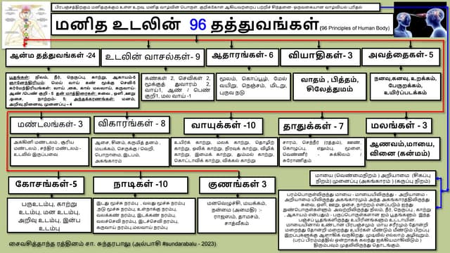 LEECH'S SEVEN TYPES OF MEANING | PPTX