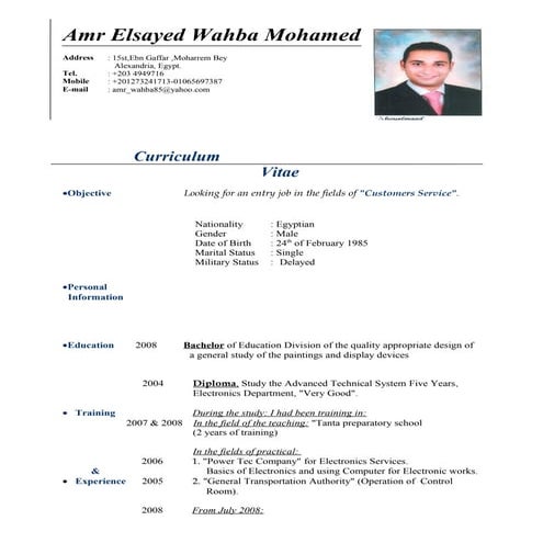 Amr Wahba 2015 | PDF