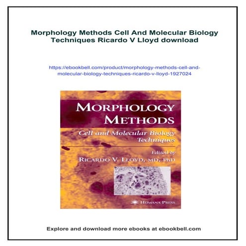 Morphology Methods Cell And Molecular Biology Techniques Ricardo V Lloyd | PDF