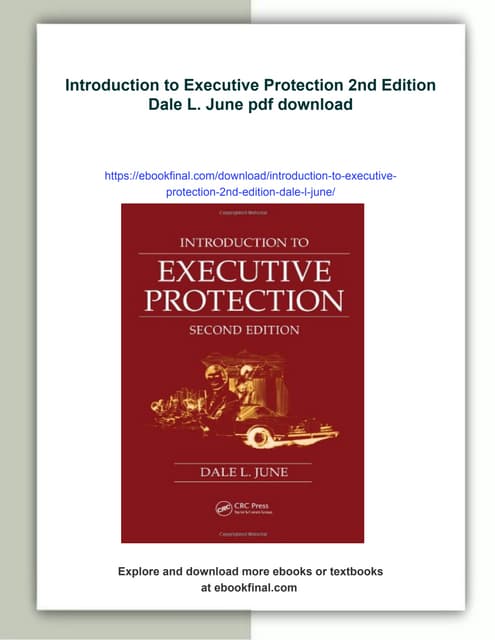 What Are Executive Protection Services, And When Are They Needed? | PDF