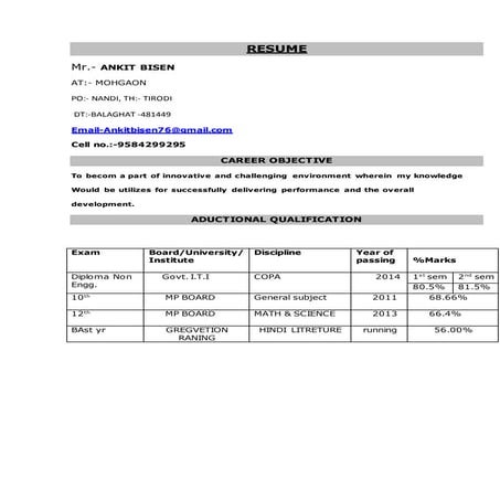 ANKIT BI. RESUME | PDF