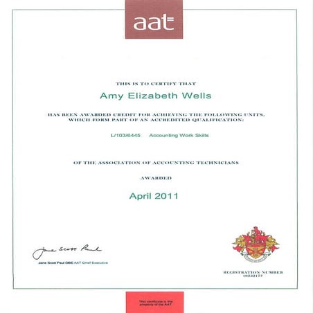 AAT ACCOUNTING WORK SKILLS 010411 | PDF