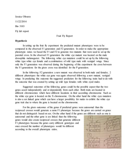 Identifying Unknown Bacteria Lab | DOCX | Chemistry | Science