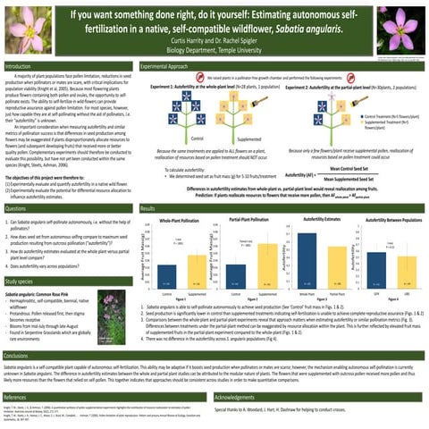 AF_Posterpresentation_CH | PDF