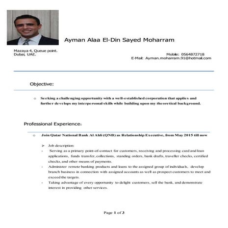 Ayman Alaa CV | DOCX