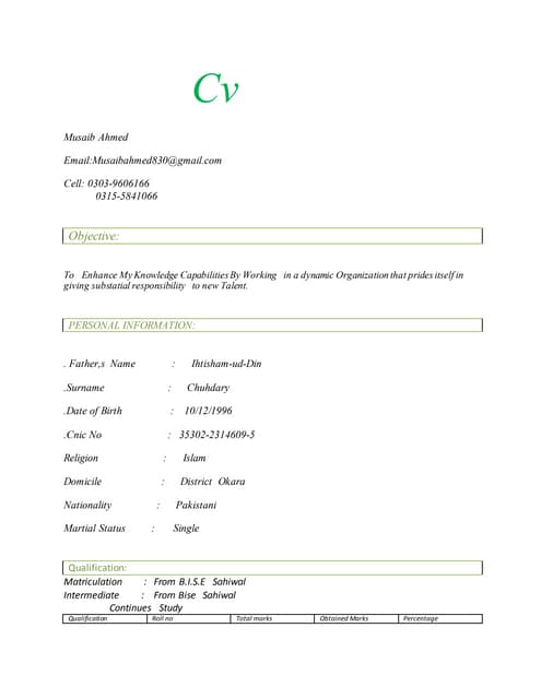 Adnan CV | DOCX | Technology & Computing