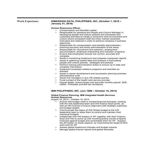 Work Experience | PDF