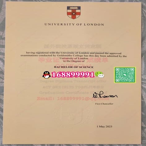 Goldsmiths University of London degree offer diploma Transcript | PDF