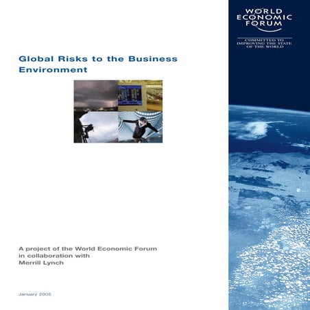 Global Risks to the Business Environment | PDF