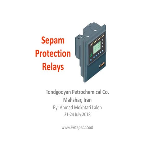 Sepam Protection Relays | PPTX