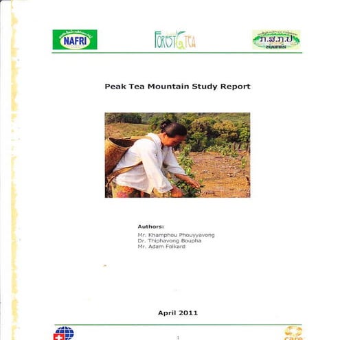 Peak Tea Mountain Study Report | PDF
