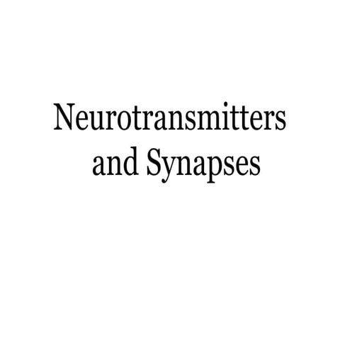 97308319-Neurotransmitter-and-Its-Synapses-Ppt.pdf