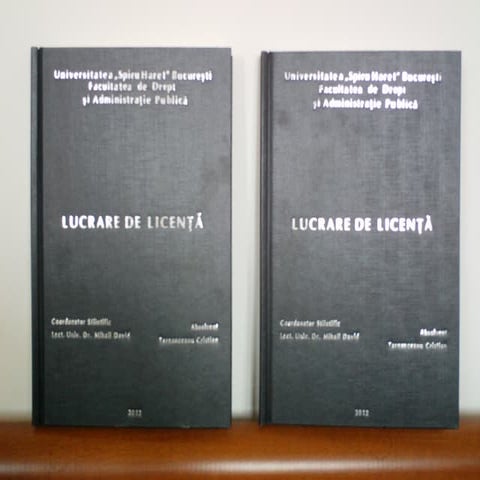 97346713 lucrare-licenta-drept-penal-tarnauceanu-cristian | PPT